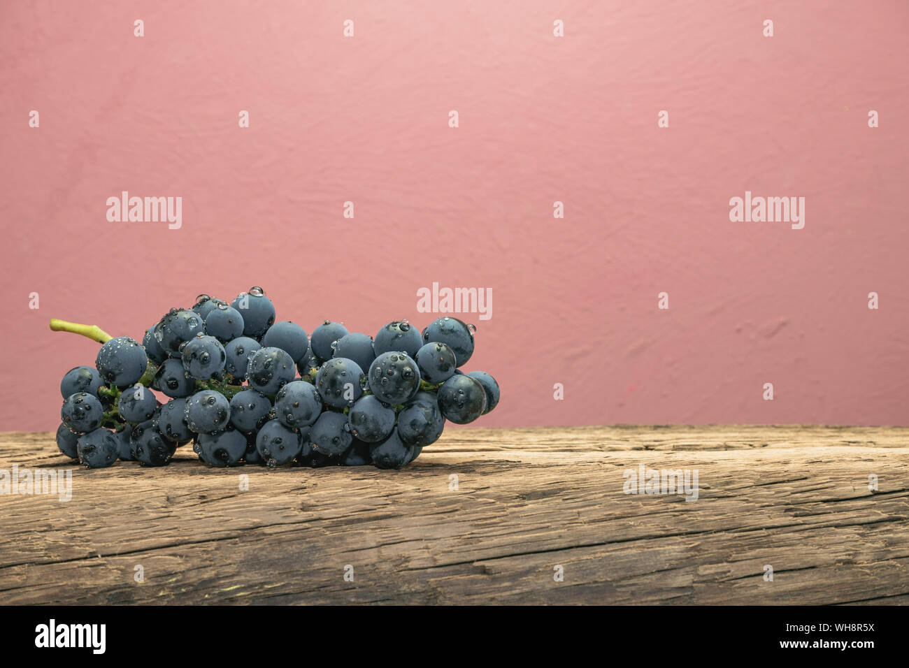 Beautiful wine Kadarka grapes on a old oak wooden table and red wall ...