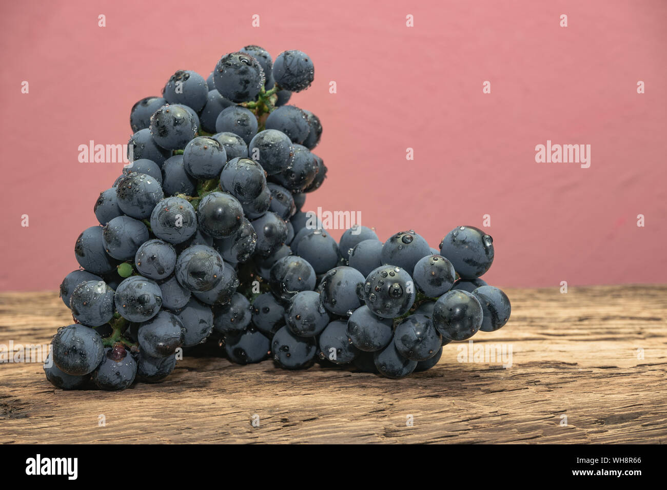 Beautiful wine Kadarka grapes on a old oak wooden table and red wall ...