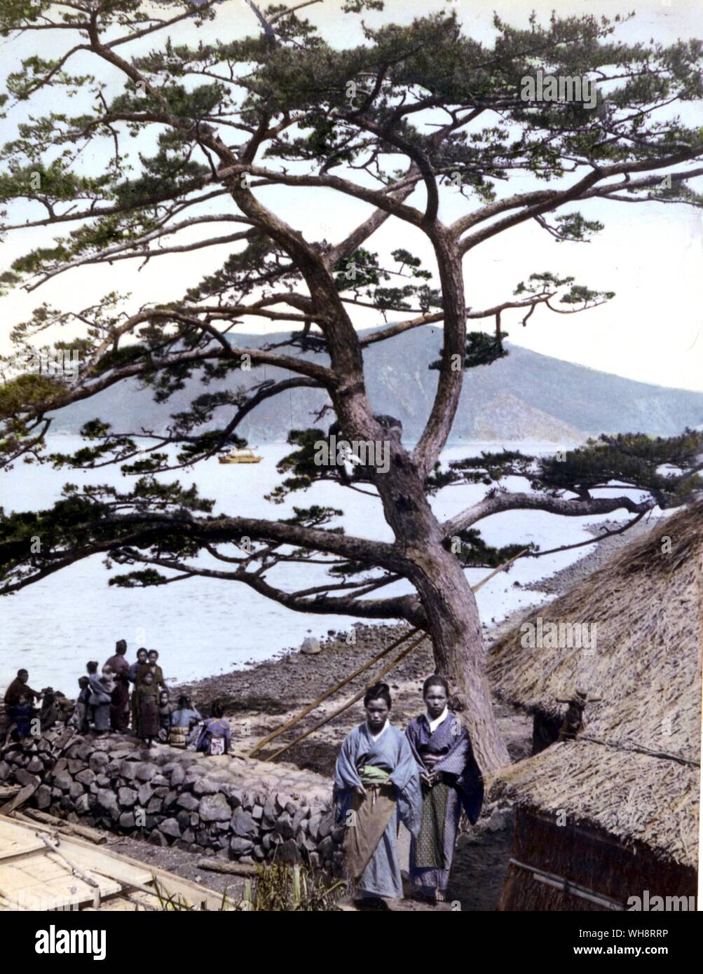 Children in front of a tree at Tsubone. 1904 Stock Photo - Alamy