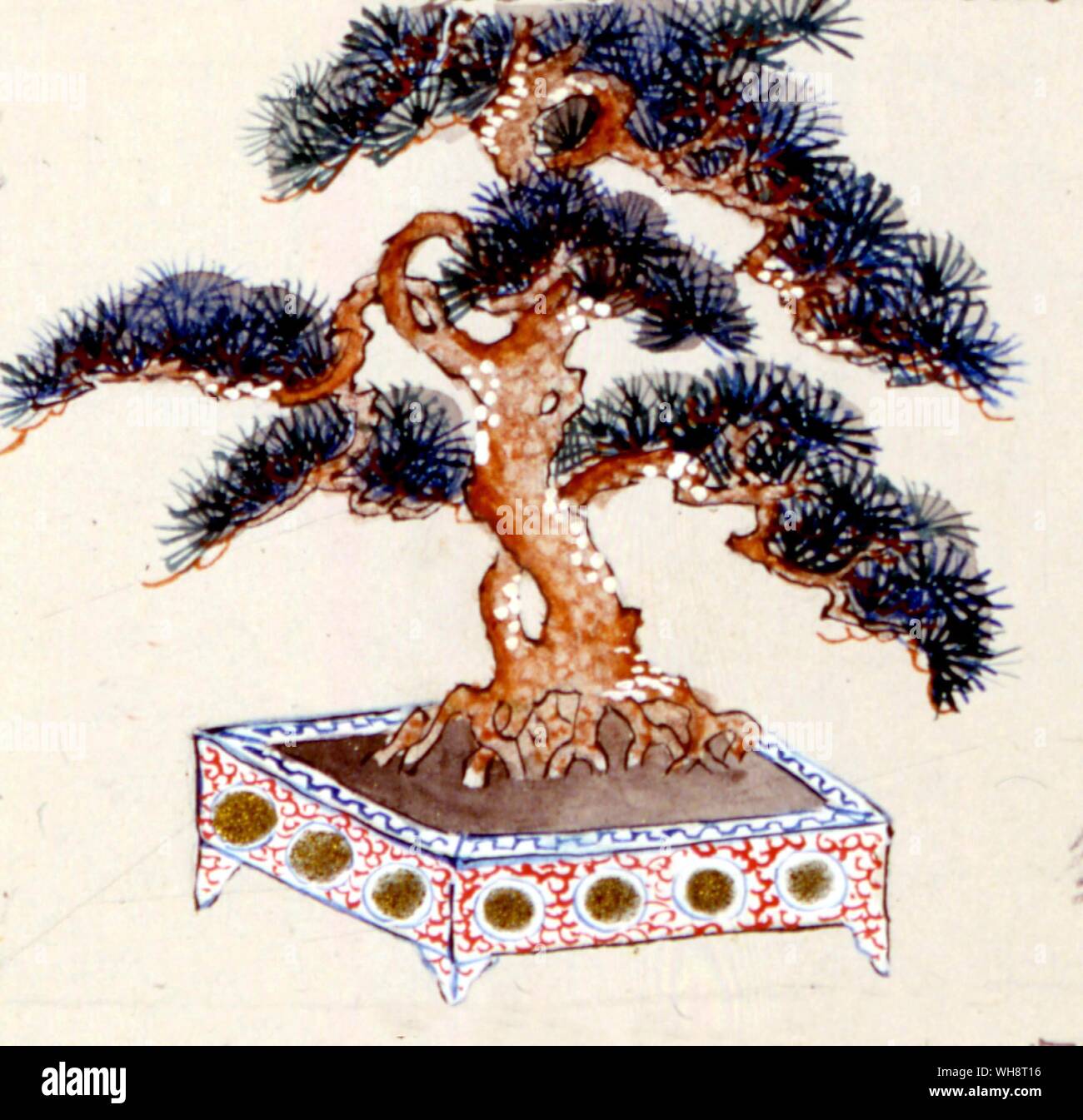 Pine tree (bonsai Stock Photo - Alamy