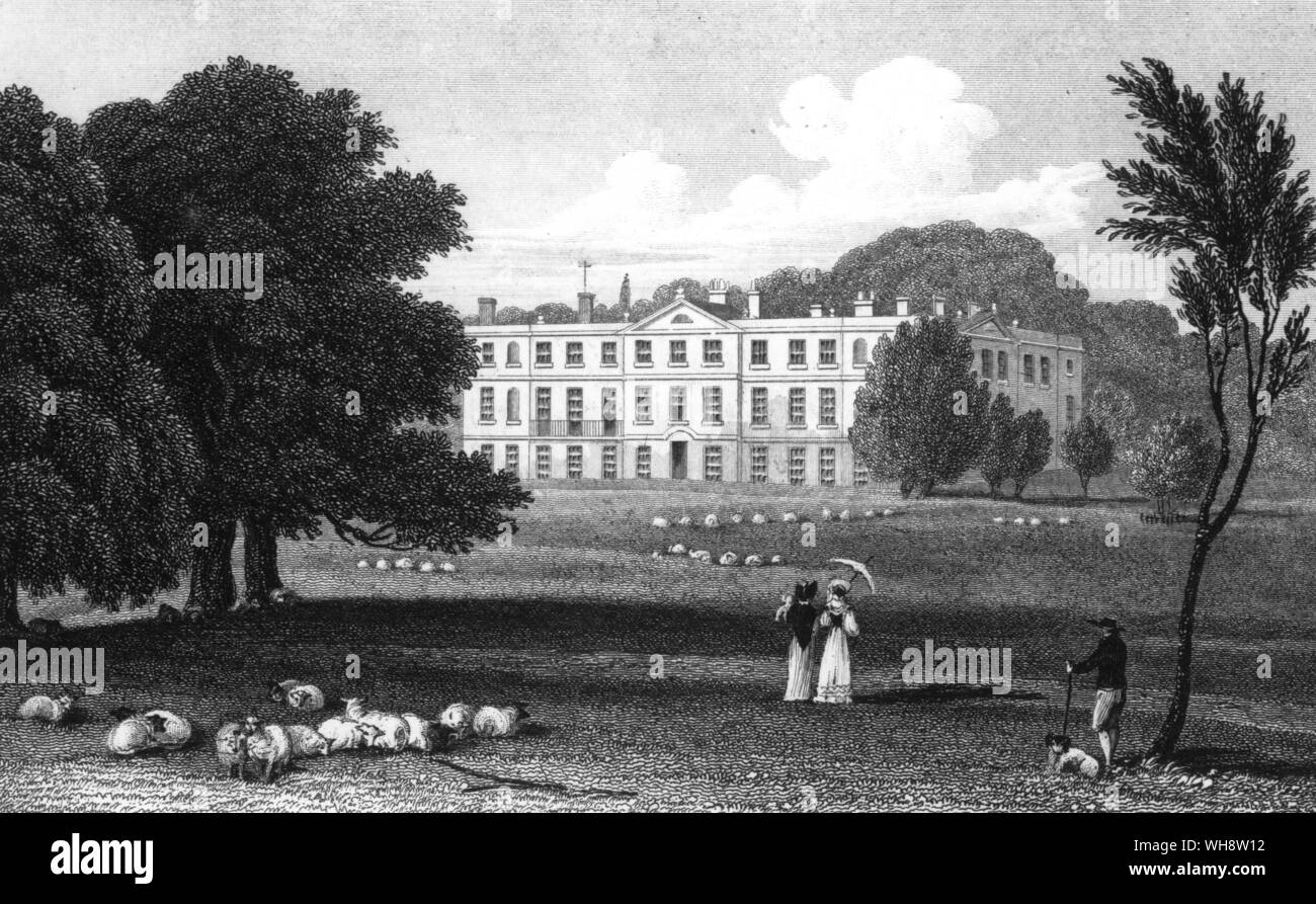 Dogmensfield Park Hampshire the seat of Lady Mildmay 1829 Stock Photo ...