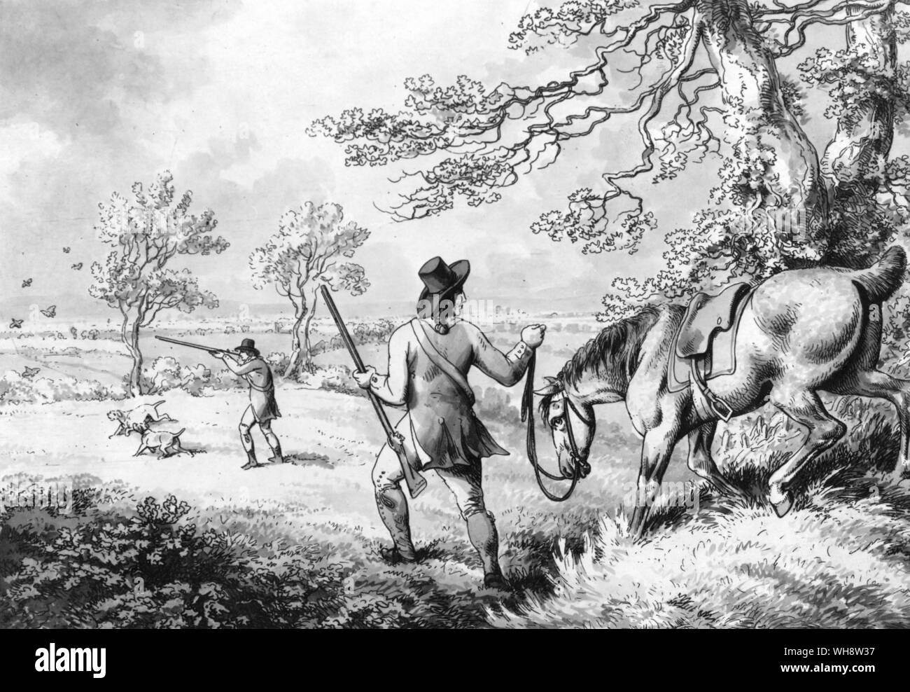 Hunting partridge hi-res stock photography and images - Alamy