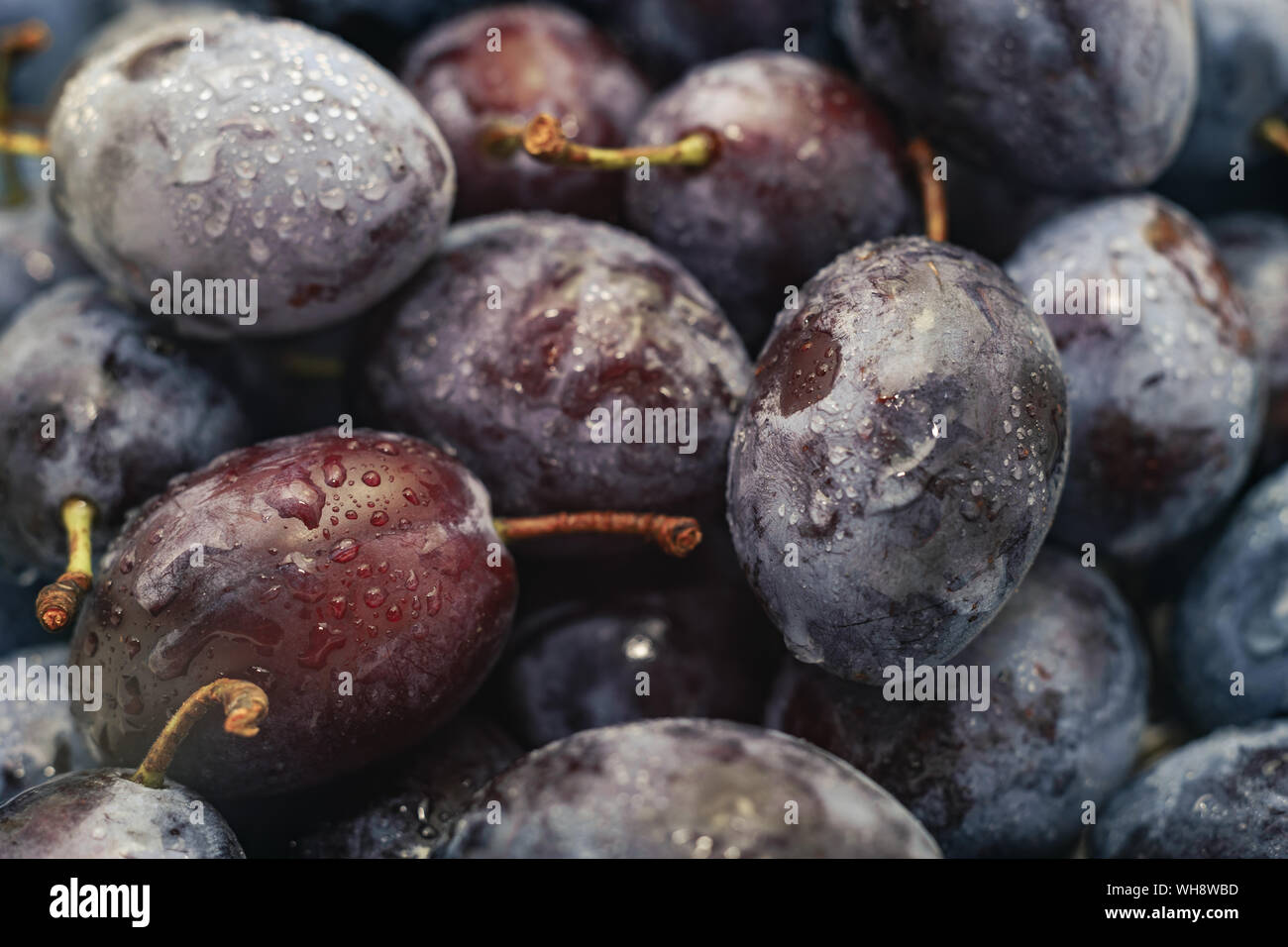 Close up beautiful fresh plums background. Macro view Stock Photo - Alamy