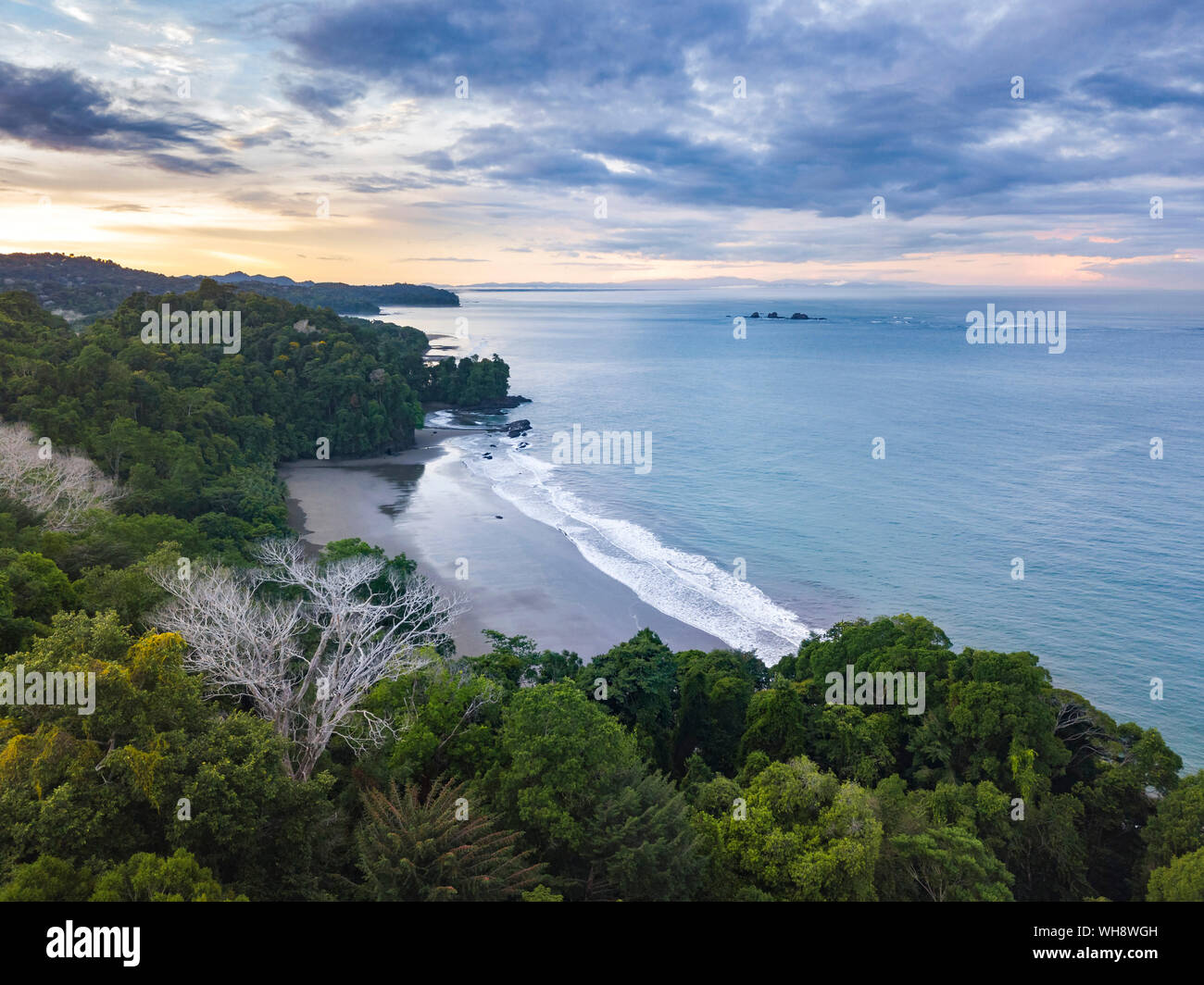 Rainforest sunrise hi-res stock photography and images - Alamy