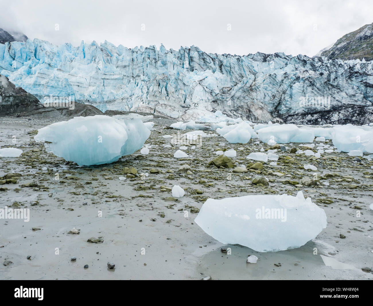 Stranded ice on the low tide in front of Lamplugh Glacier, Glacier Bay ...