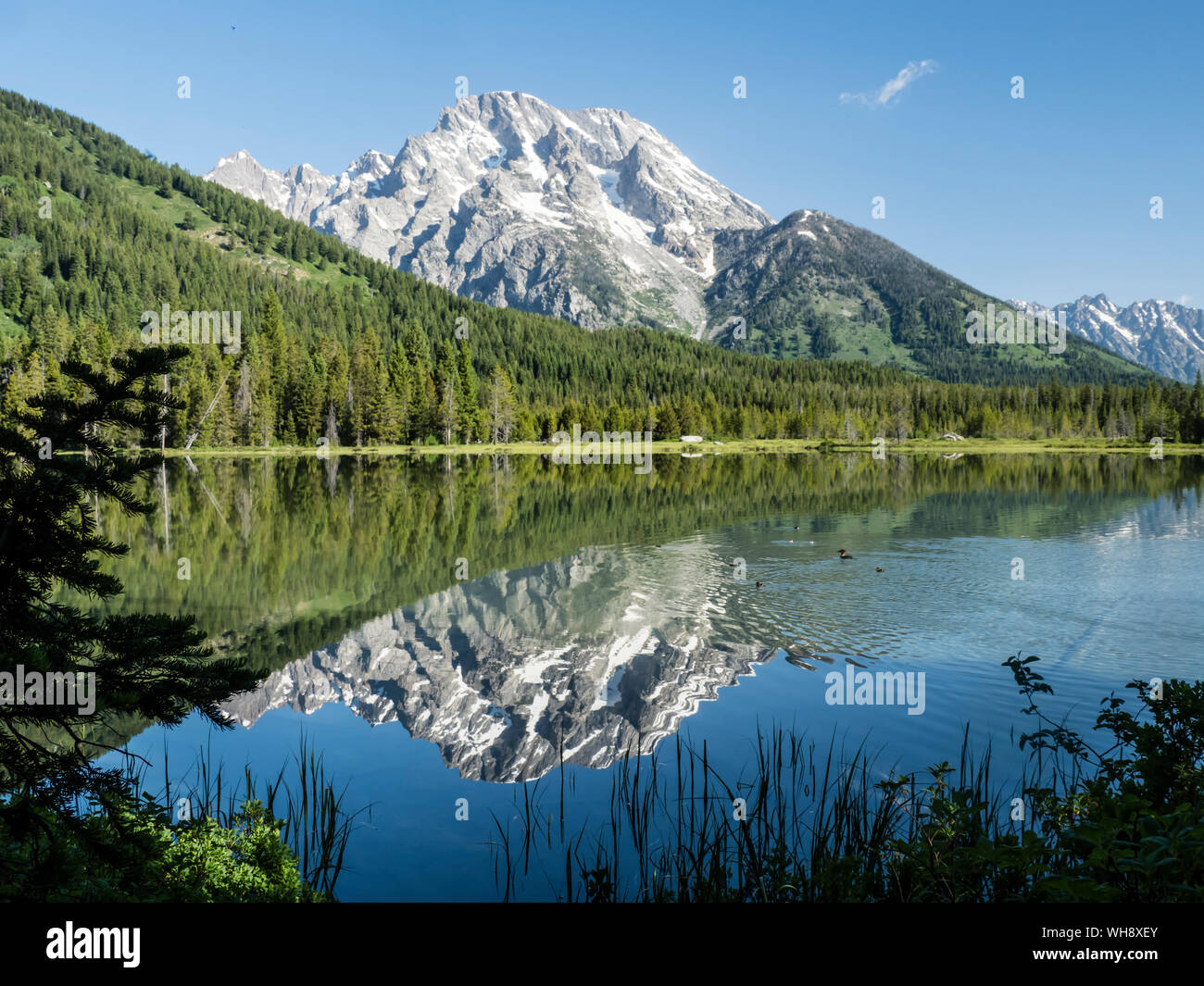 Snow-capped mountains reflected in the calm waters of String Lake ...