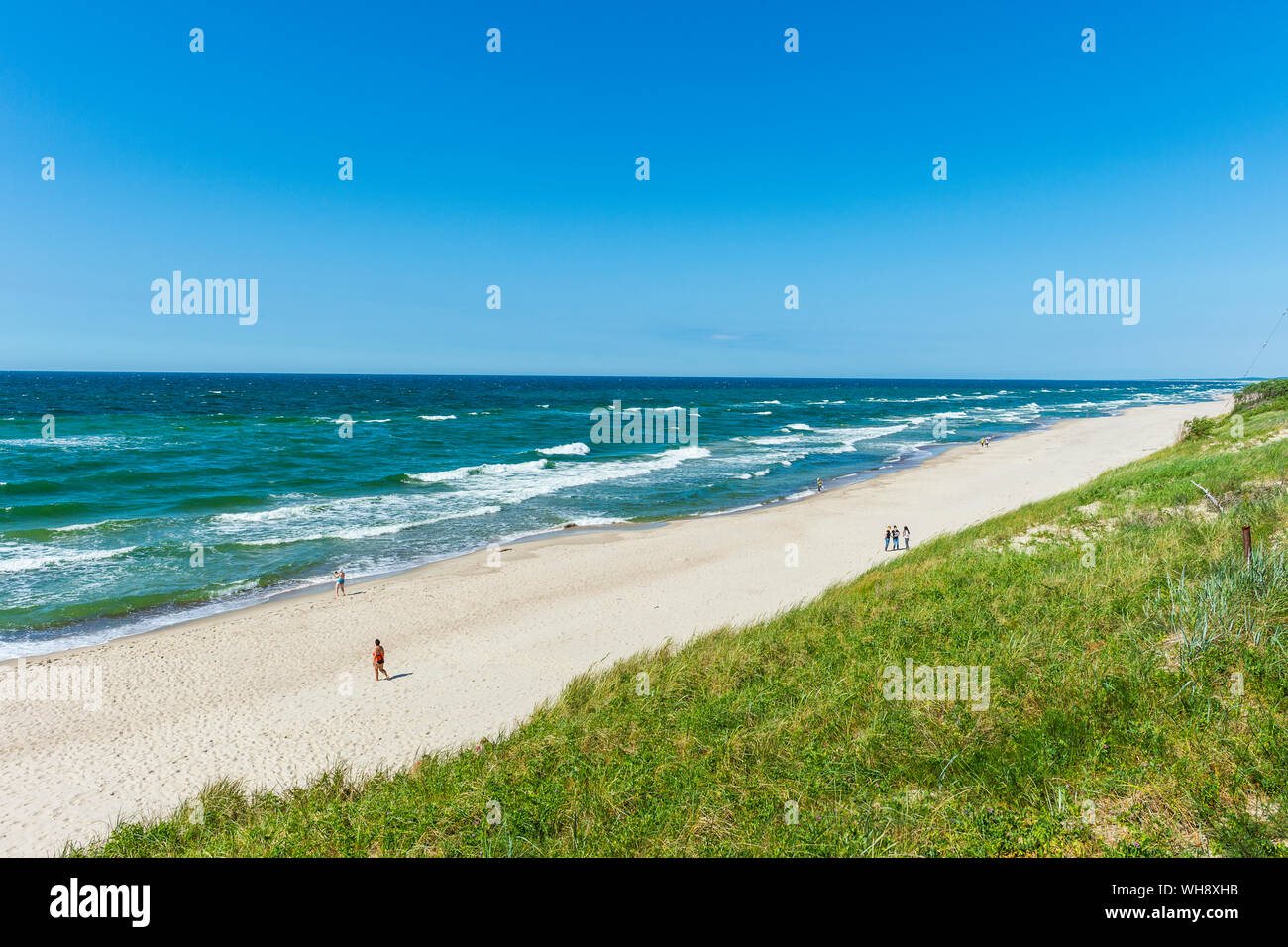 Curonian spit national park hi-res stock photography and images - Alamy