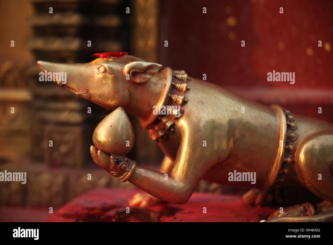 Rat worship hi-res stock photography and images - Alamy