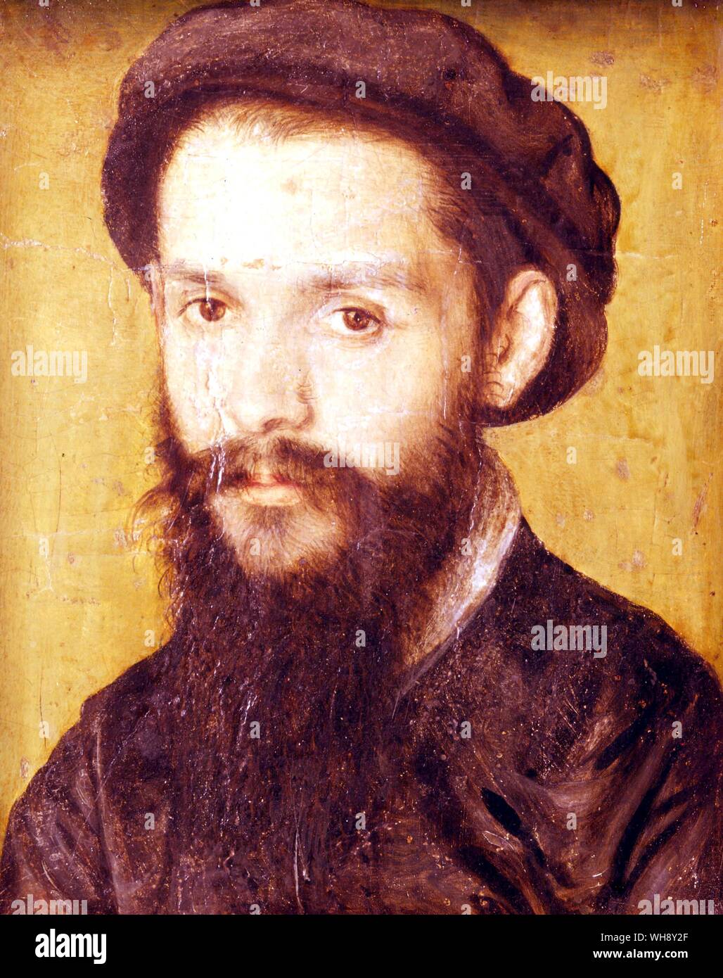 174 1540 hi-res stock photography and images - Alamy