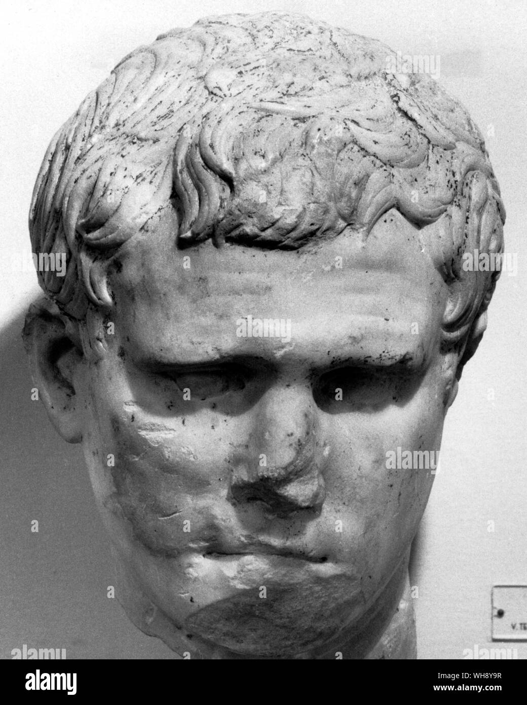 Head of Agrippa Stock Photo - Alamy