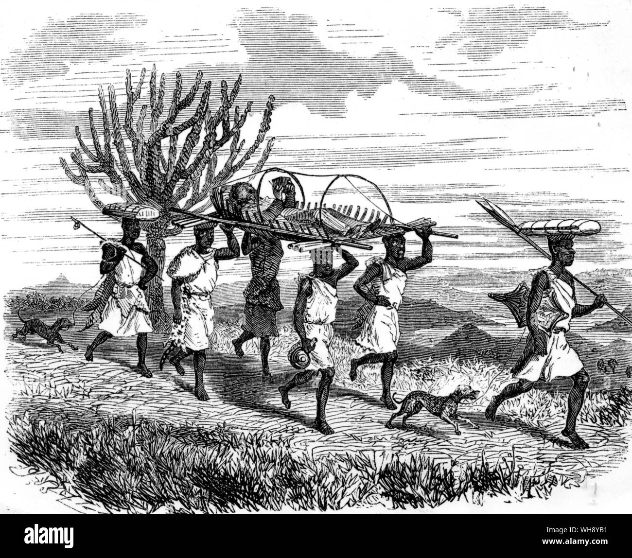 Karagwe hi-res stock photography and images - Alamy