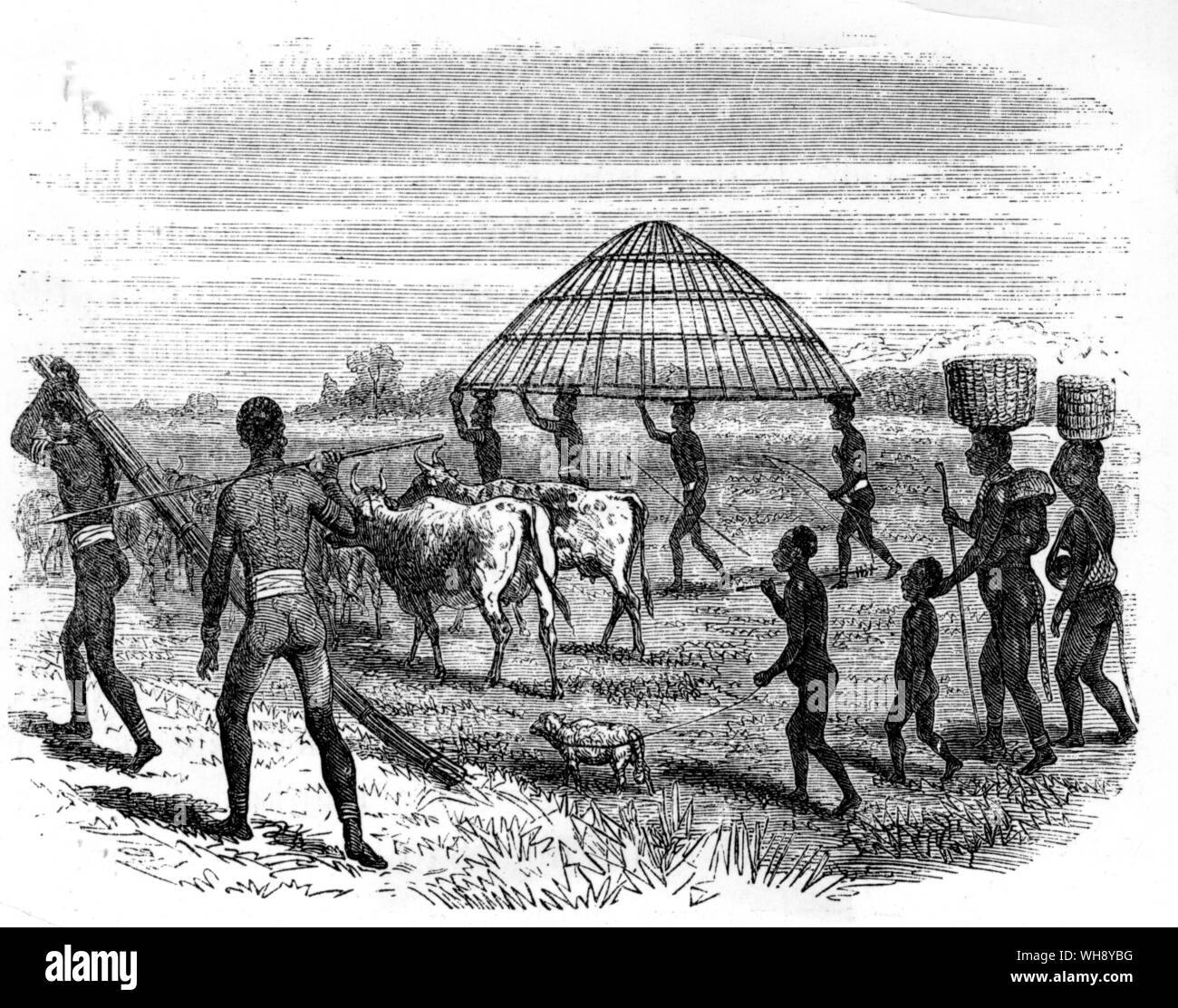 I had constantly wondered, ever since I first came here and saw the ...