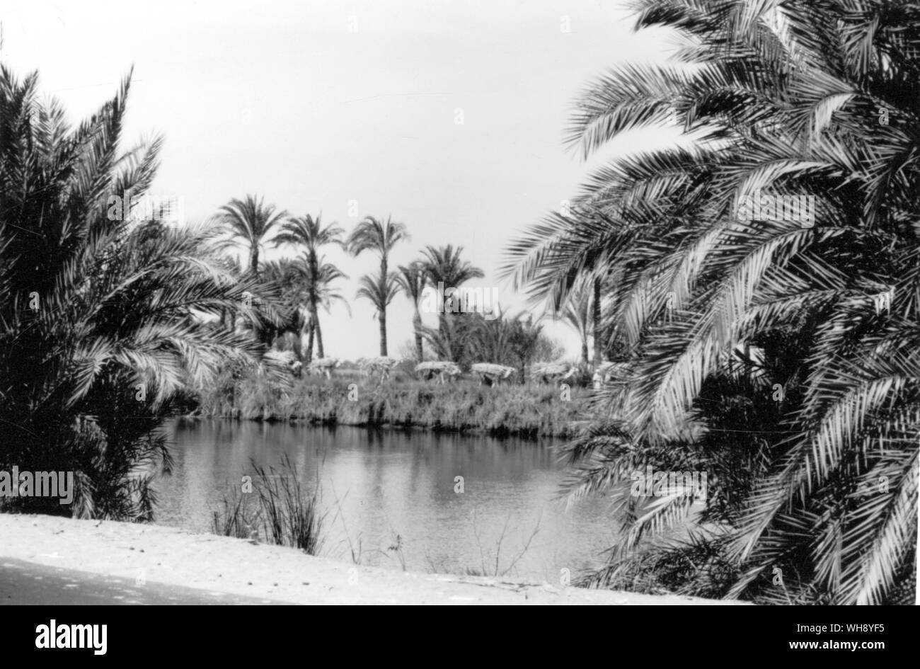 Yusuf yusuf hi-res stock photography and images - Alamy