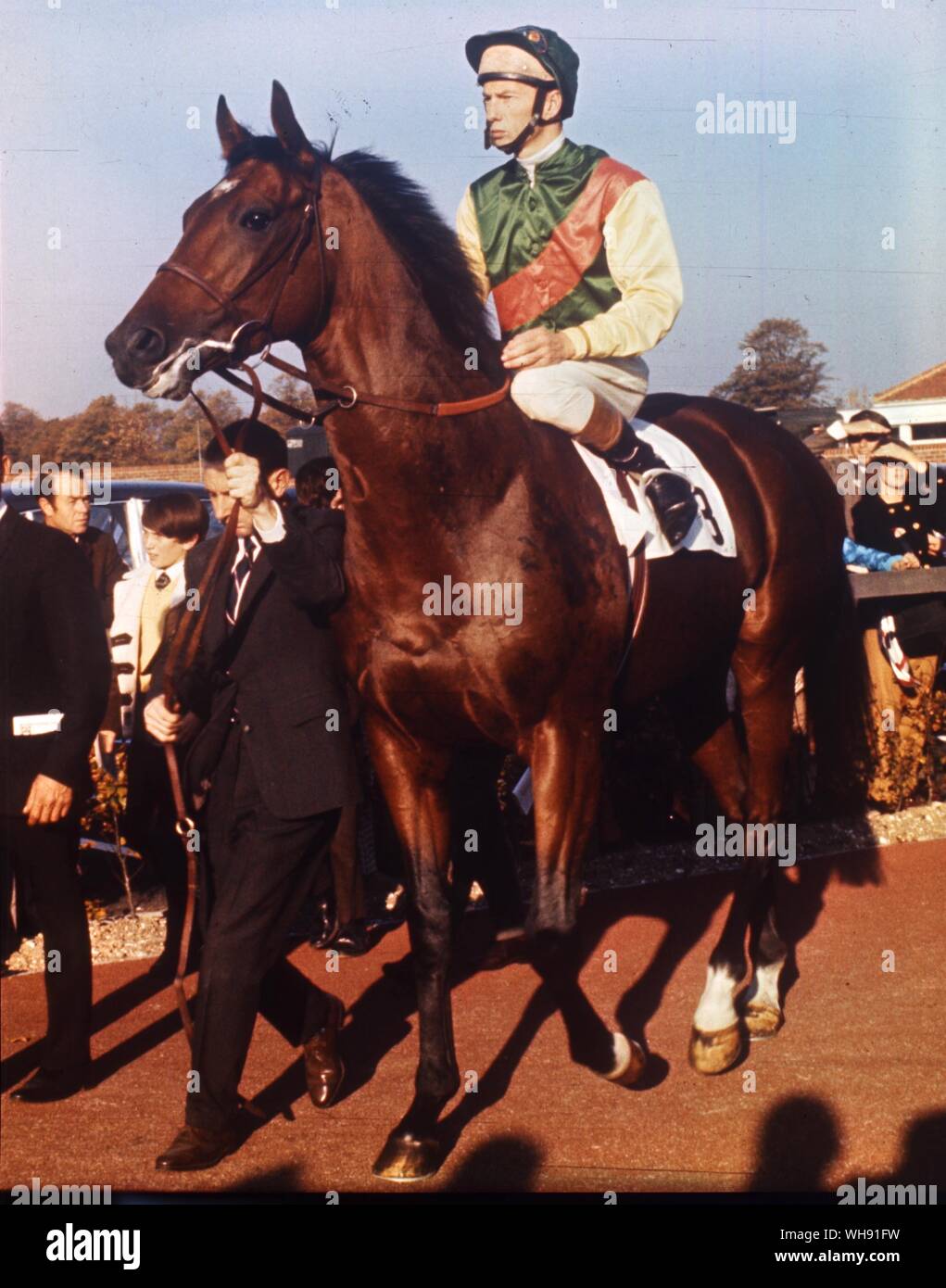 Jockey Lester Piggot High Resolution Stock Photography and Images - Alamy
