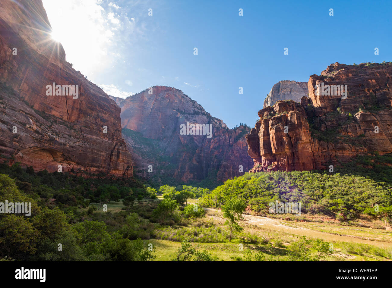 Zion Canyon, Zion National Park, Utah, United States of America, North ...