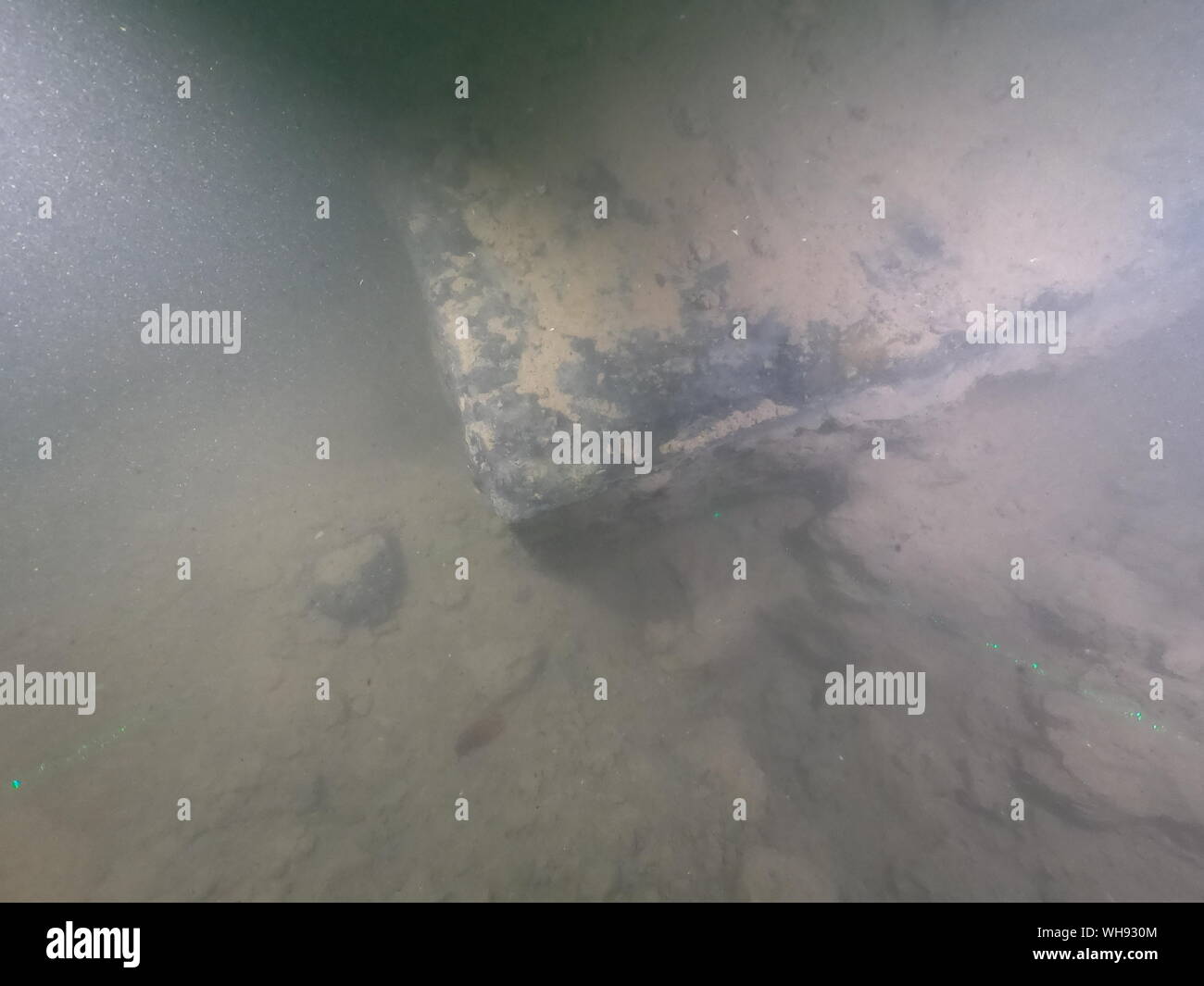 (190902) -- WEIHAI, Sept. 2, 2019 (Xinhua) -- Undated photo shows a ...