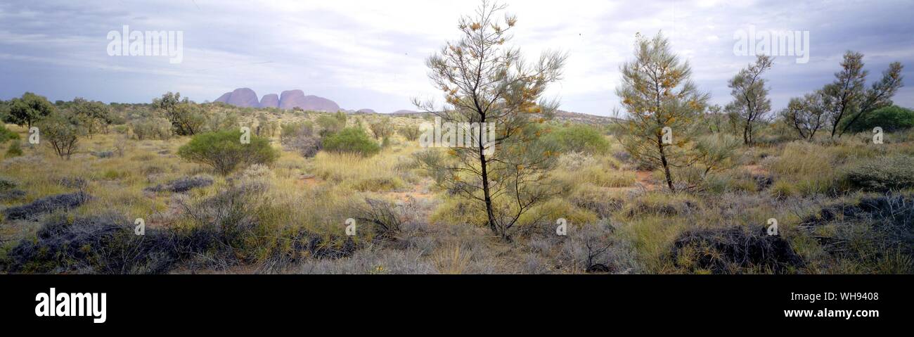 The Olgas named by the explorer Giles after a Grand Duchess of Russia ...