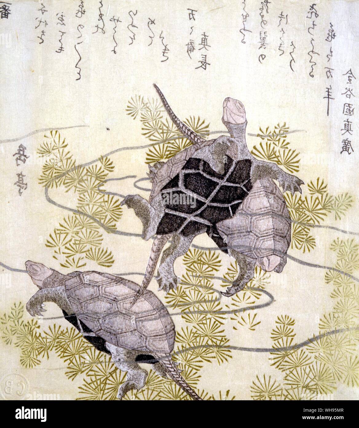 Art: Japanese - graphic. Turtles and Waterweeds by Gakutai, c.1819 ...