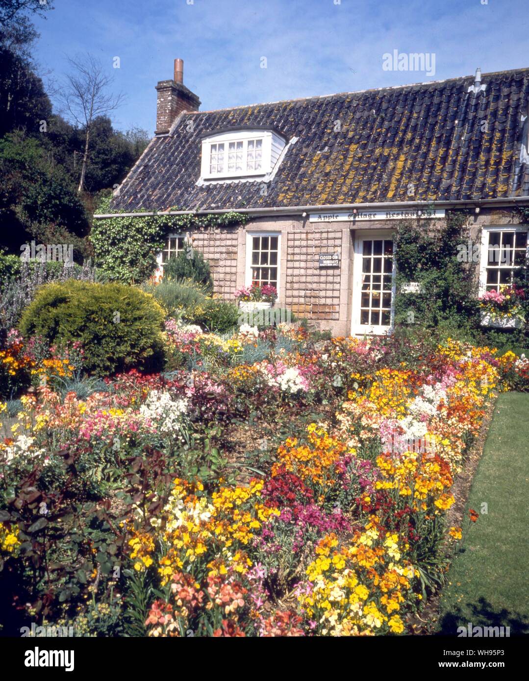 English cottage restaurant Stock Photo - Alamy