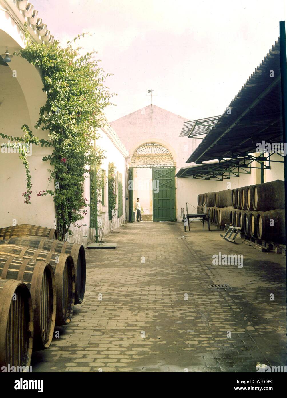 174 3266 hi-res stock photography and images - Alamy