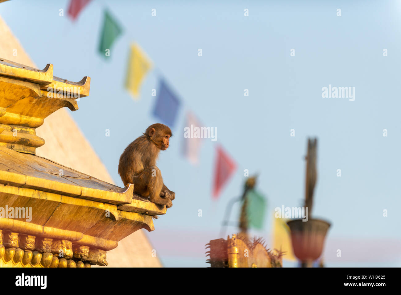 International day of prayer hi-res stock photography and images - Alamy