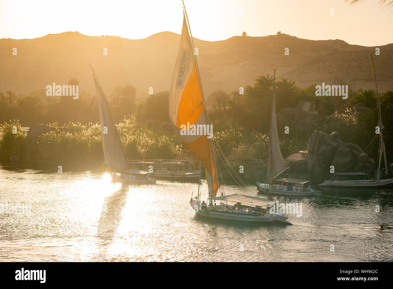 Traditional Felucca sailboats with wooden masts and cotton sails on the ...