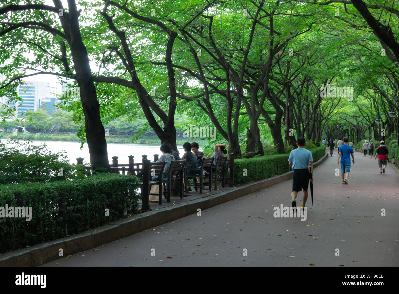 Seokchon lake park in summer season, Jamsil, Songpa-gu, Seoul city ...