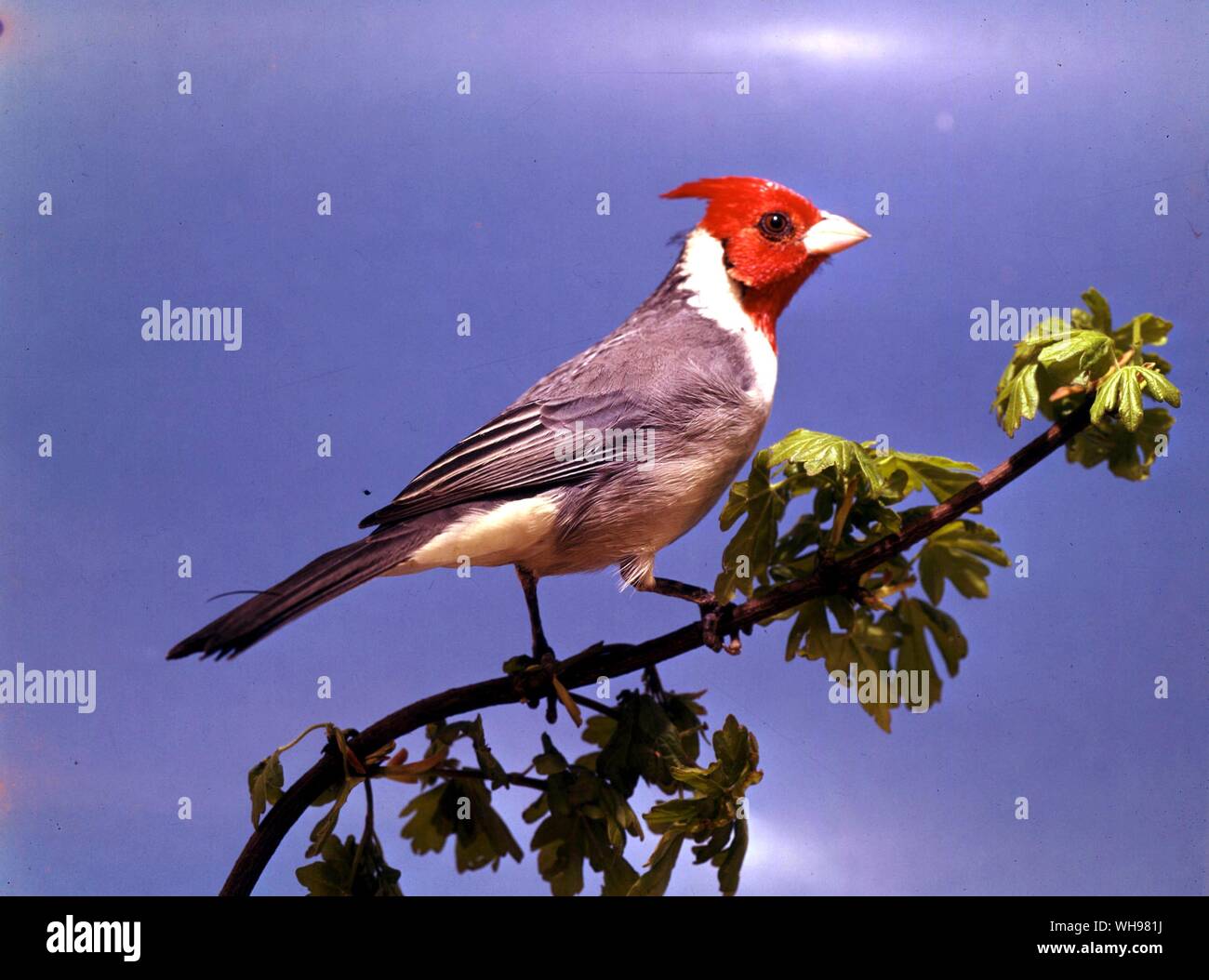 3659 hi-res stock photography and images - Alamy