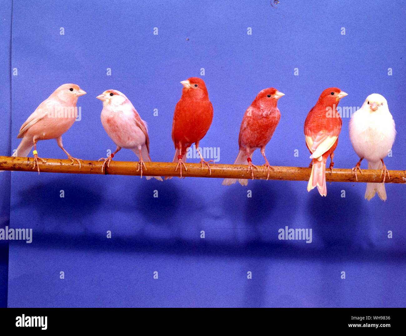 3758 hi-res stock photography and images - Alamy