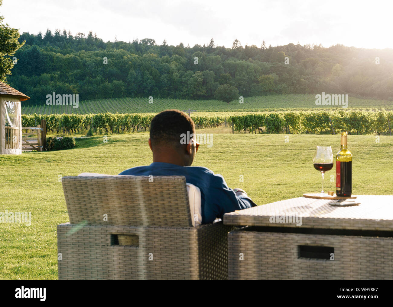 Denbies Wine Estate, the largest vineyard in the UK Stock Photo - Alamy