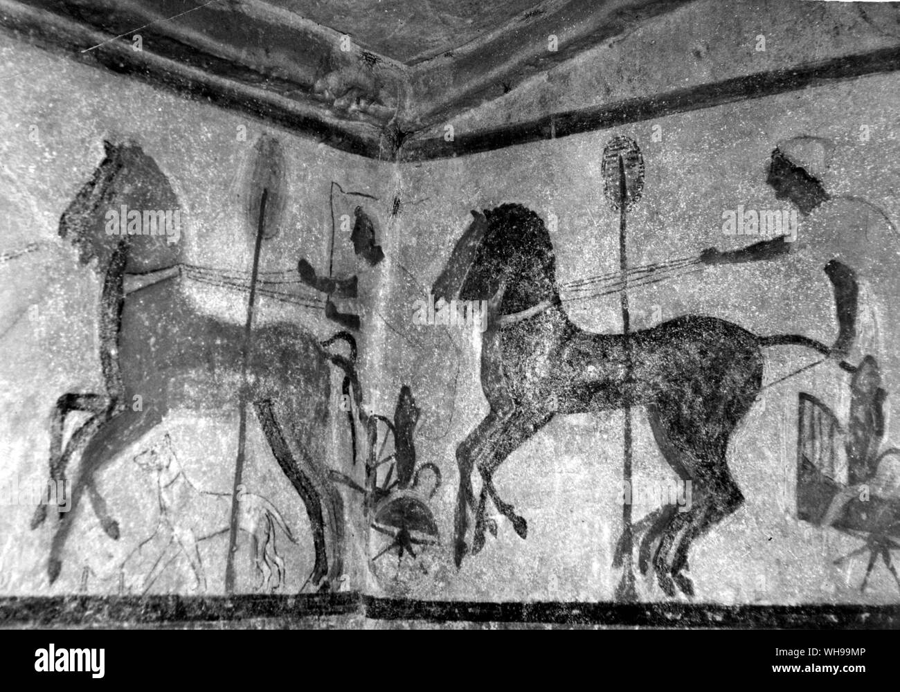 A chariot race detail from a wall painting at Chiusi Stock Photo - Alamy