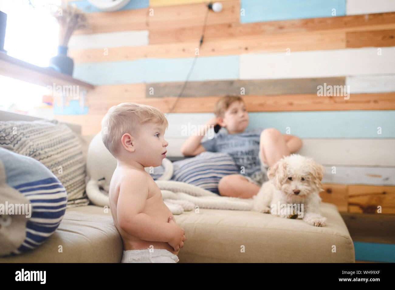 Little boy watching TV Stock Photo - Alamy
