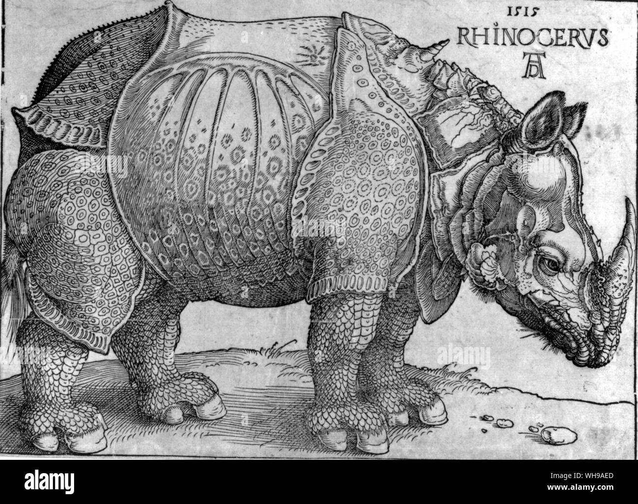 Artist albrecht durer Black and White Stock Photos & Images - Alamy