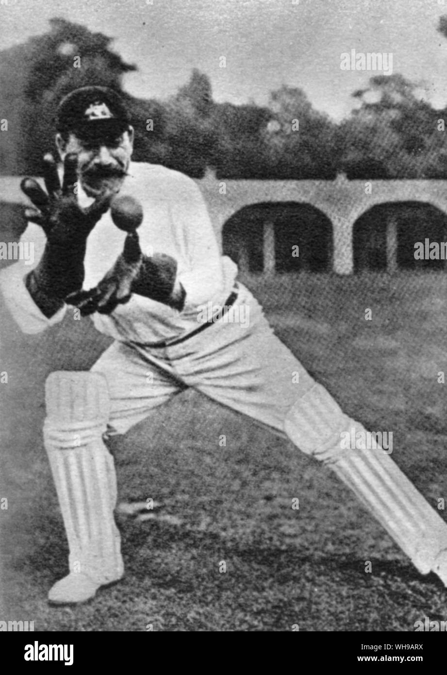 New kelly hi-res stock photography and images - Alamy