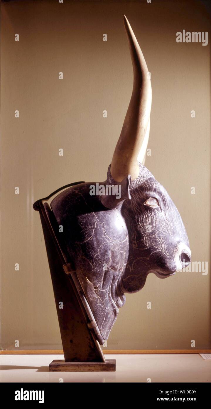 Bull Head rhyton in black steatile with rock crystal eye and wood gilt ...