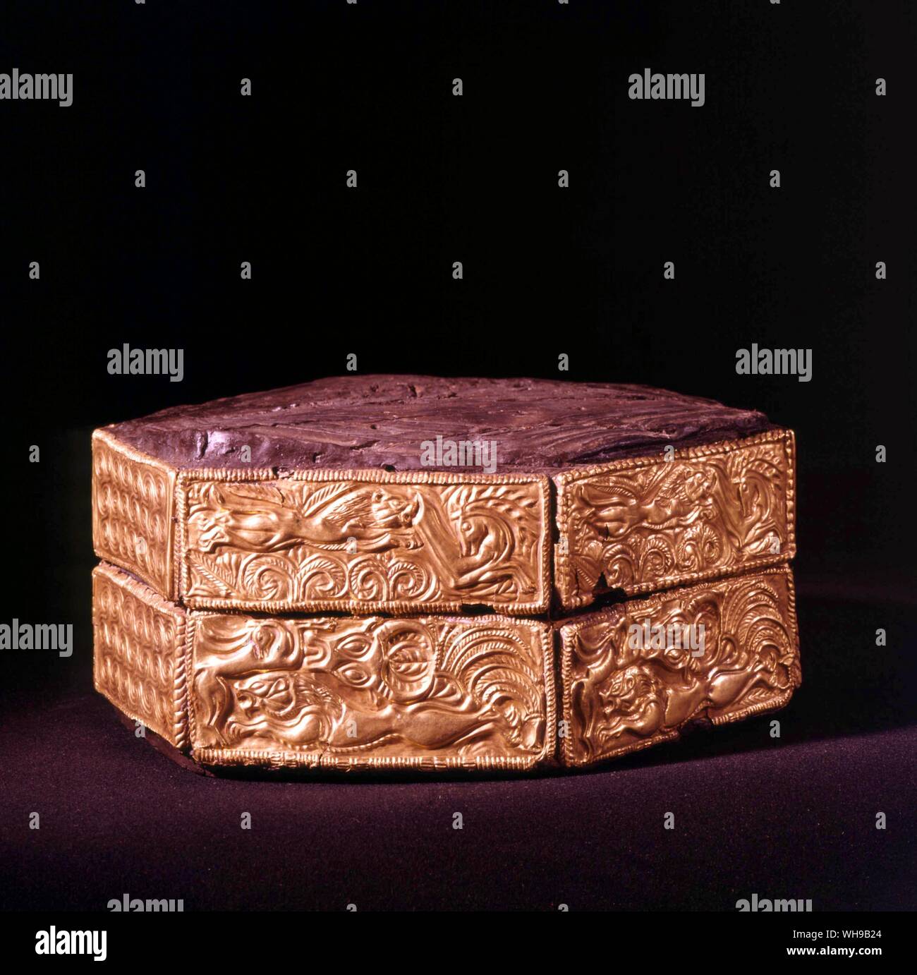 Hexagonal panels hi-res stock photography and images - Alamy