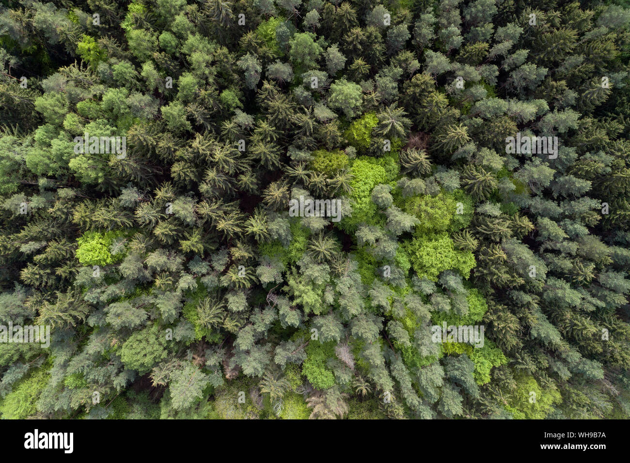 Steigerwald landscape hi-res stock photography and images - Alamy