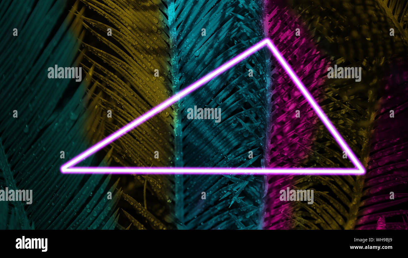 Neon colored palm tree hi-res stock photography and images - Alamy