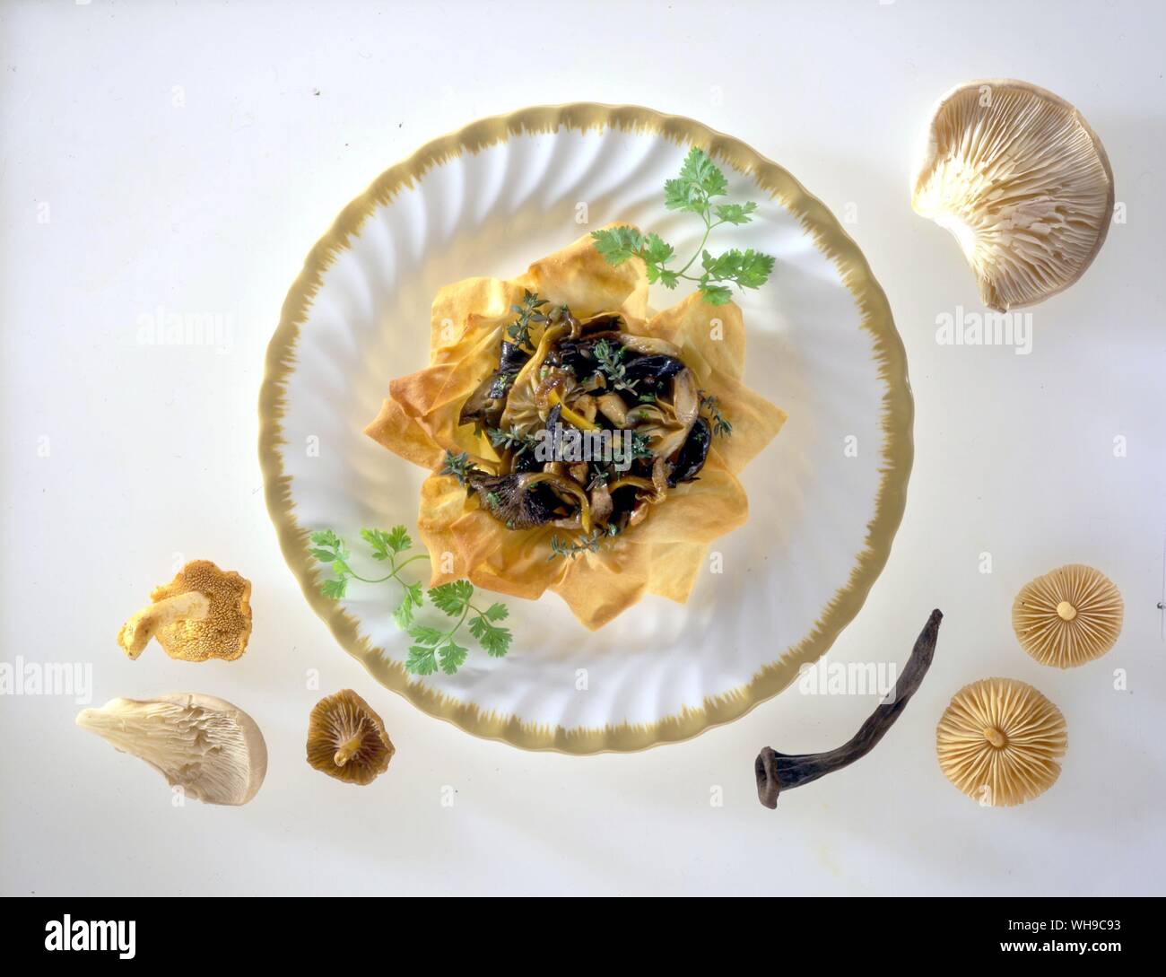 Dish mushroom hi-res stock photography and images - Alamy