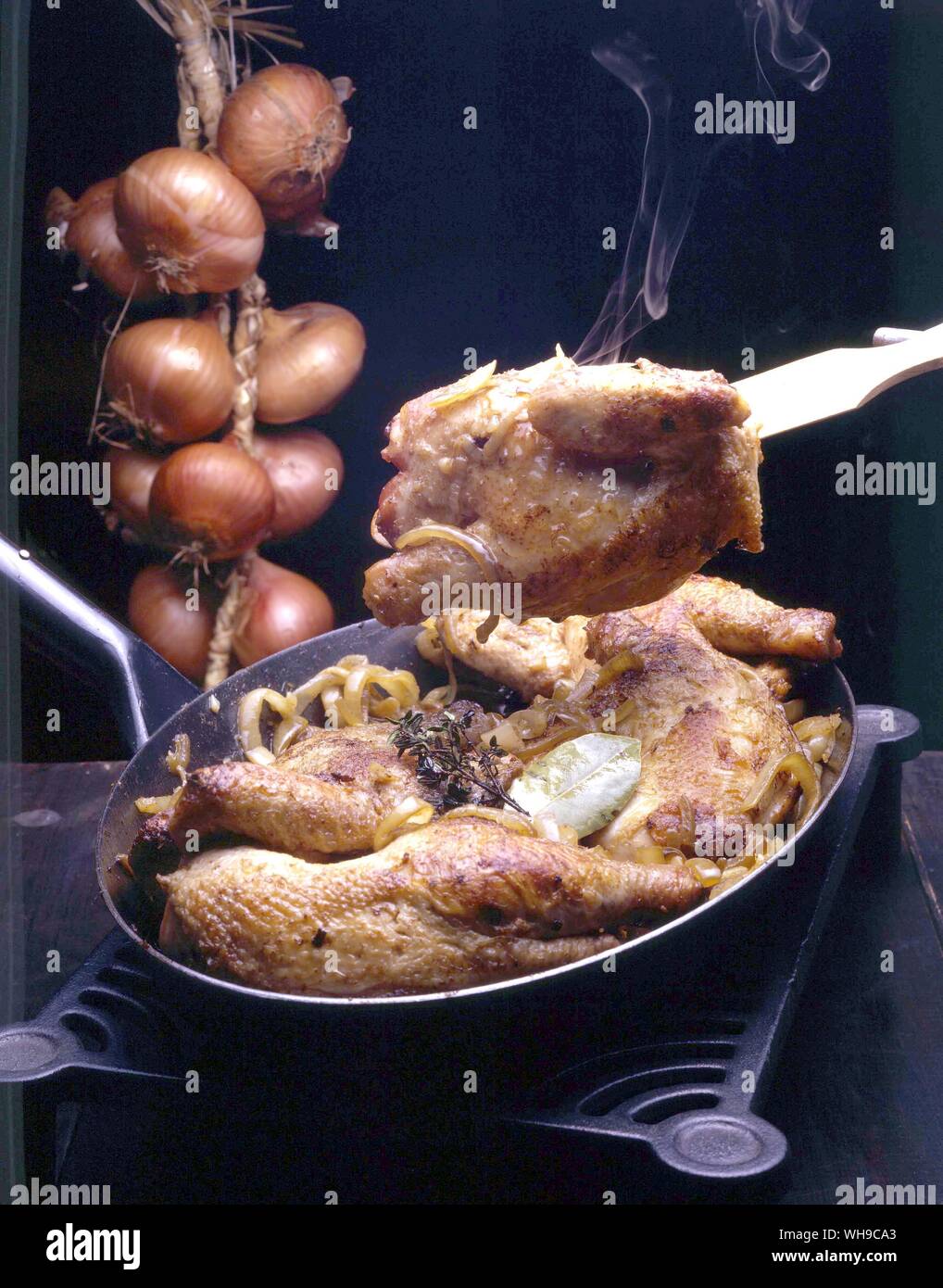 Chicken colour hi-res stock photography and images - Alamy