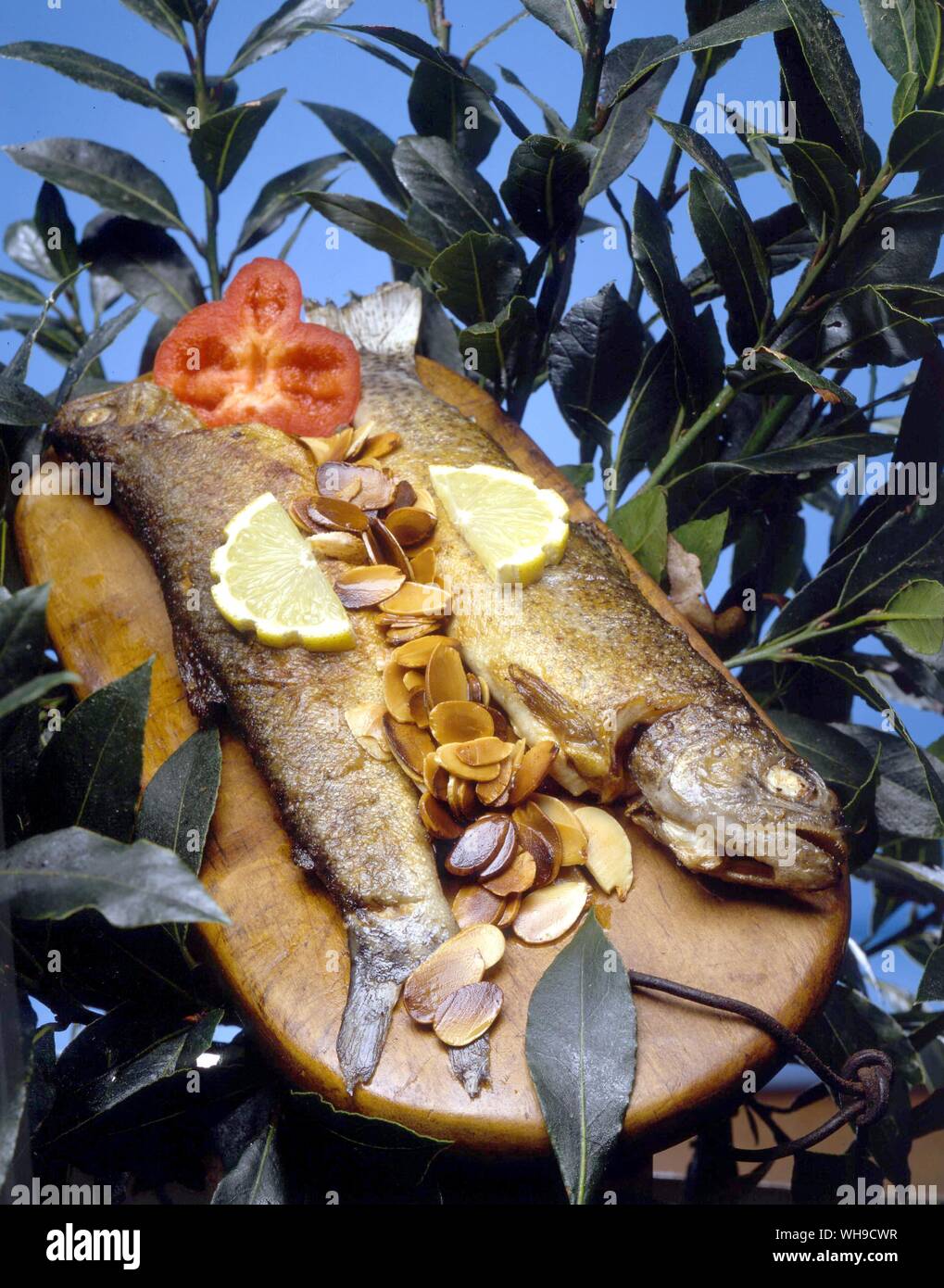 8178 High Resolution Stock Photography and Images - Alamy