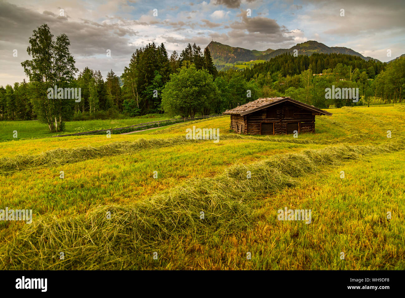 Traditional log cabin hi-res stock photography and images - Alamy