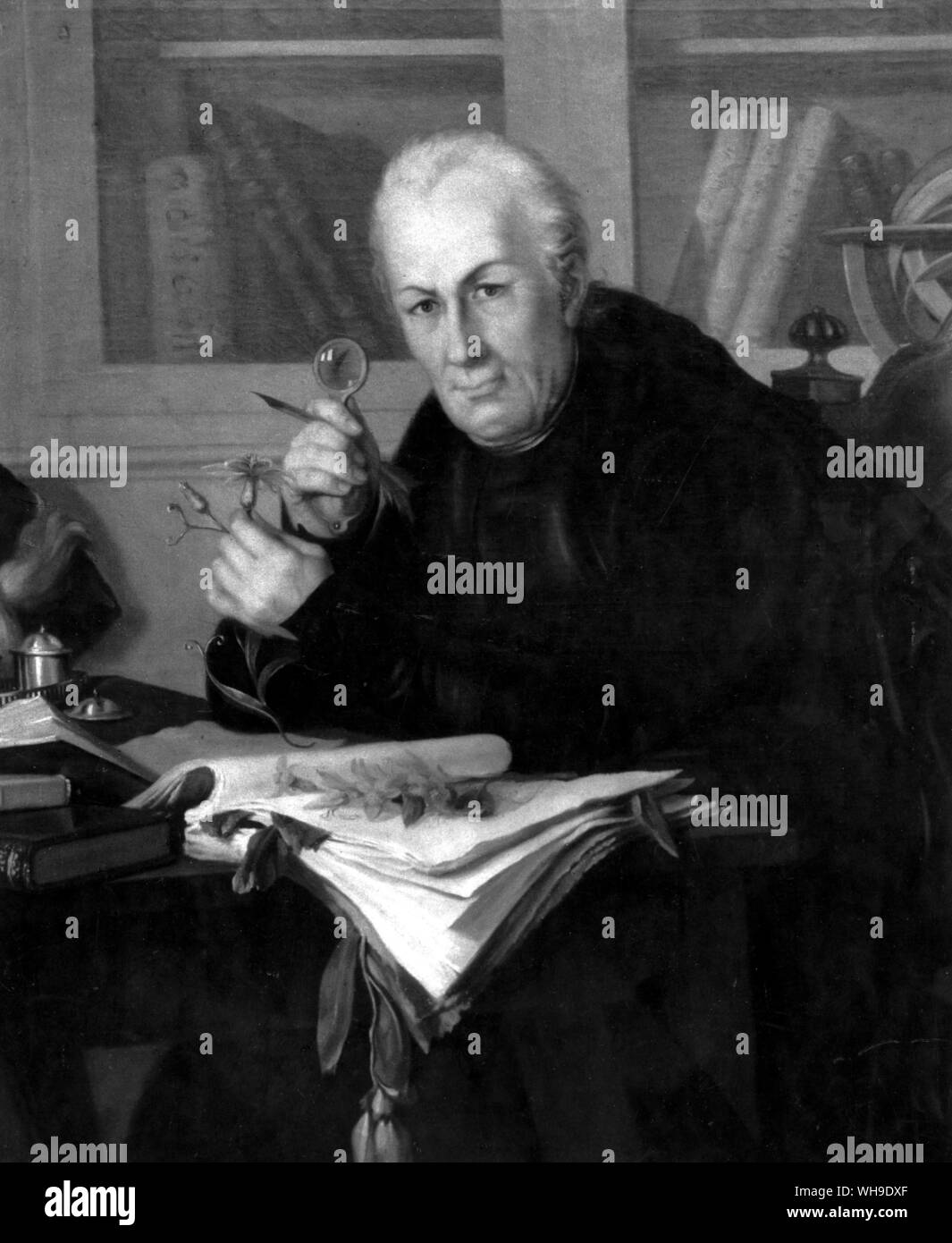 Jose celestino mutis hi-res stock photography and images - Alamy