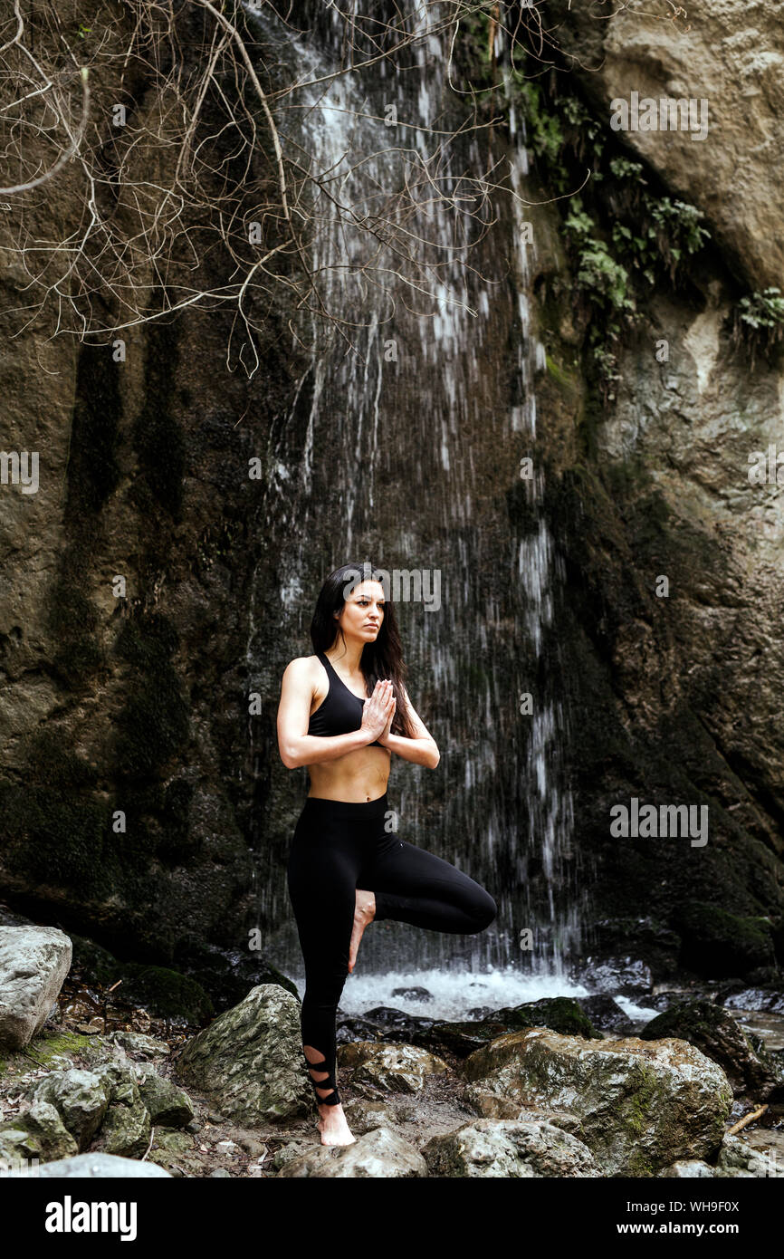 The waterfall tree hi-res stock photography and images - Alamy