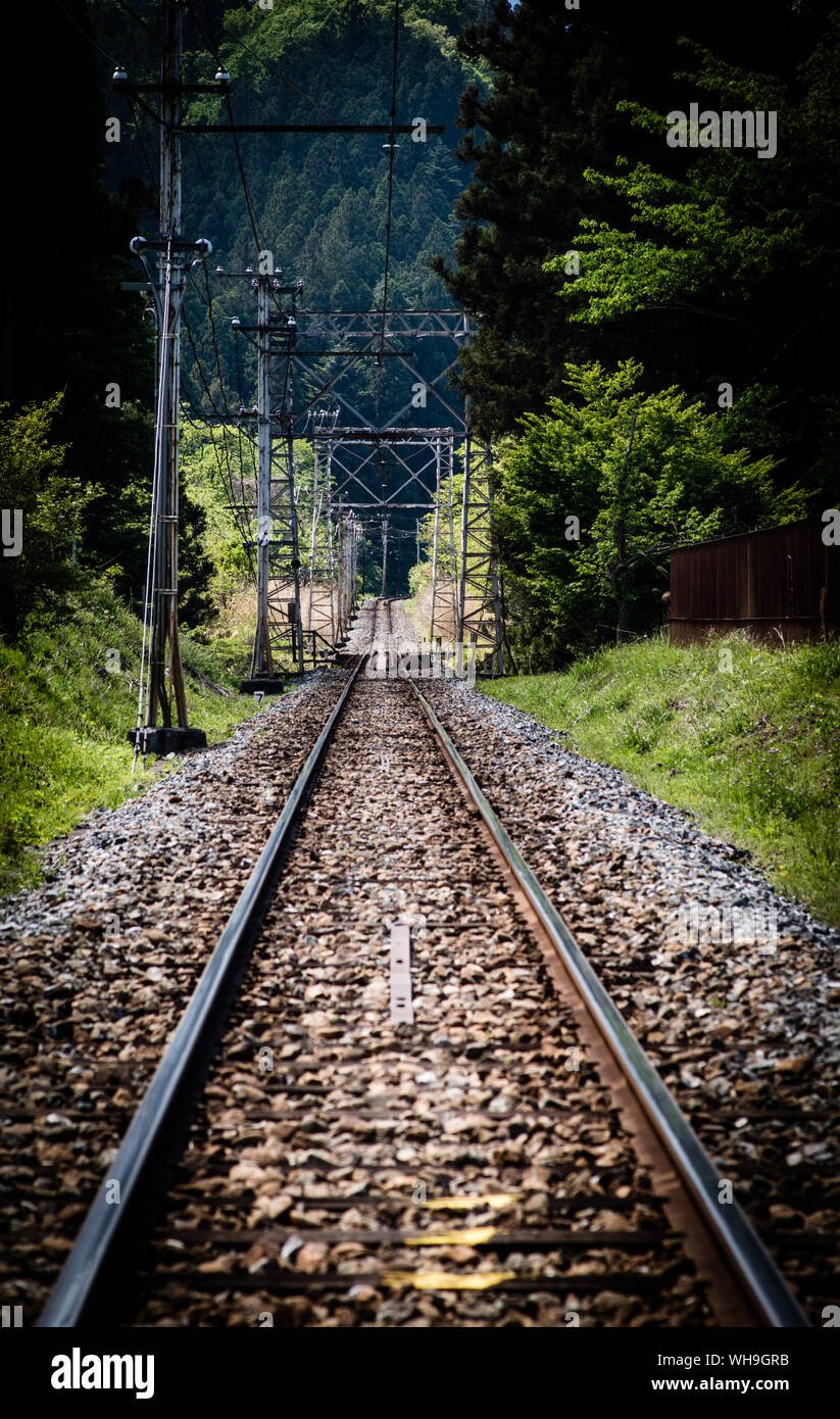 Rail way track trees hi-res stock photography and images - Alamy