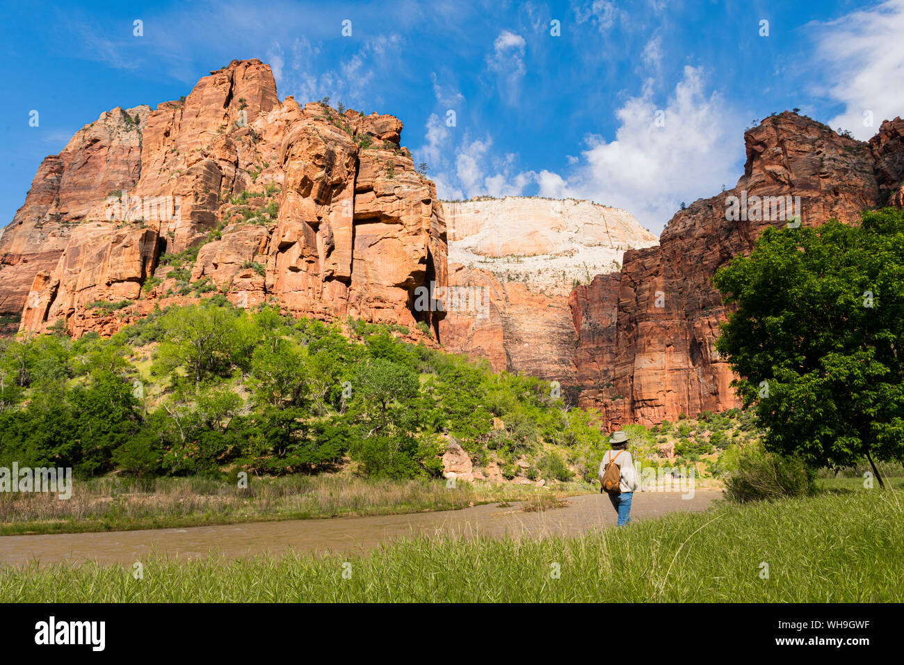 Angels Landing and the Virgin River from in Zion Canyon, Zion National ...
