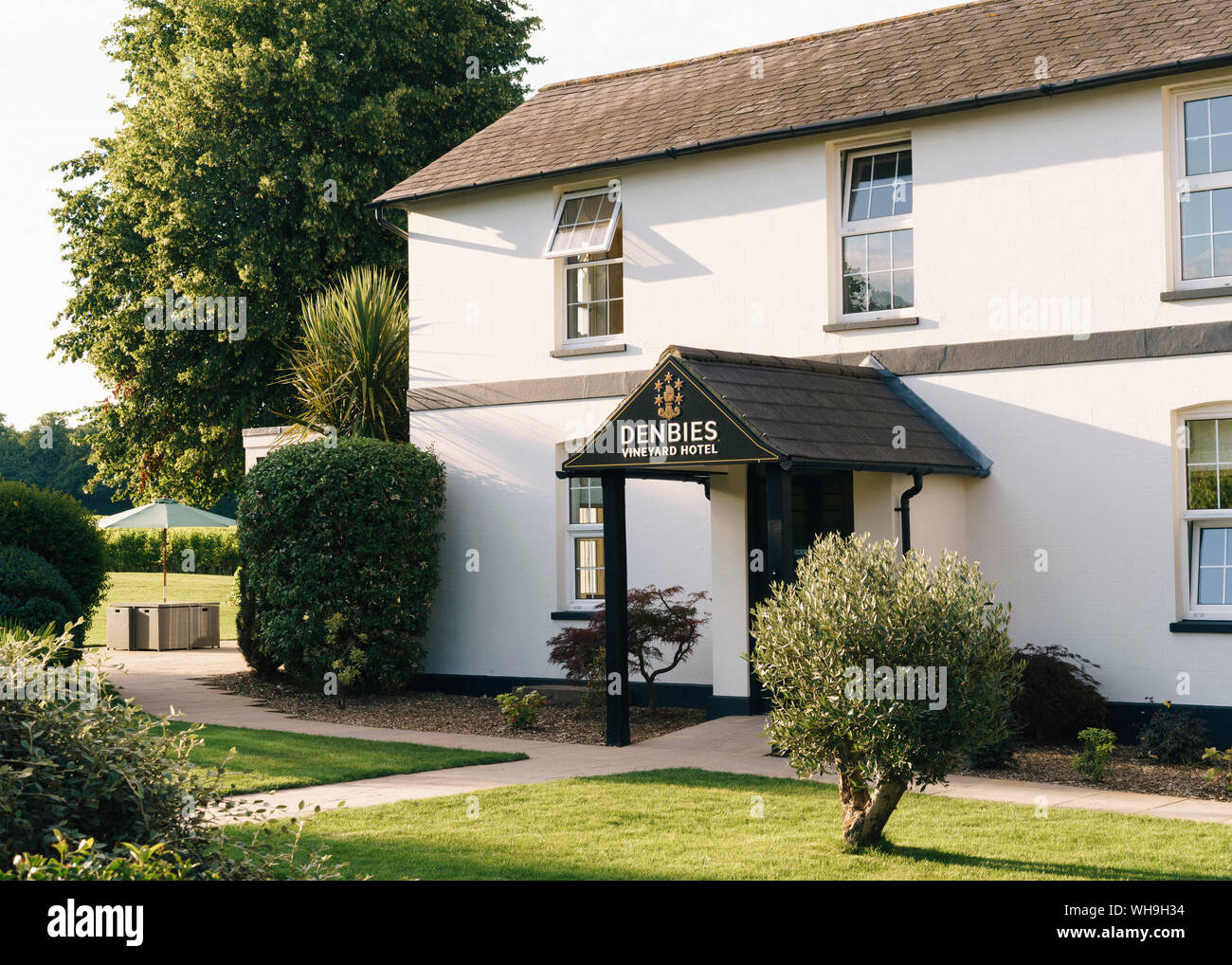 Denbies Wine Estate, the largest vineyard in the UK Stock Photo - Alamy