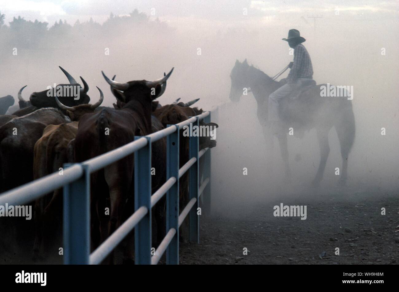 Australia Stock Man Stock Photo - Alamy