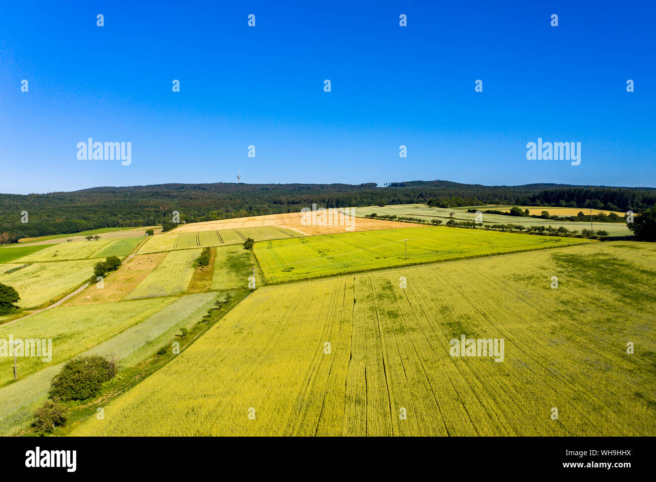 Aerial view over grain fields, meadows and woods, Wetterau, Germany ...