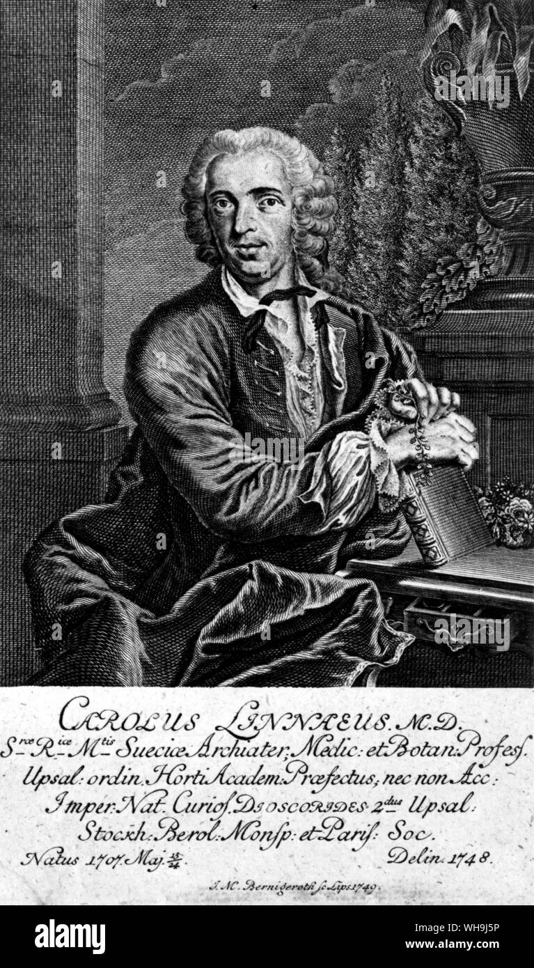 Carl linnaeus latinized as carolus linnaeus Black and White Stock ...